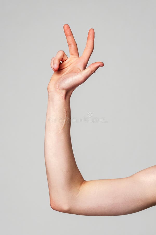 Elevated Bare Human Arm Bent at the Elbow Against a Neutral Background ...