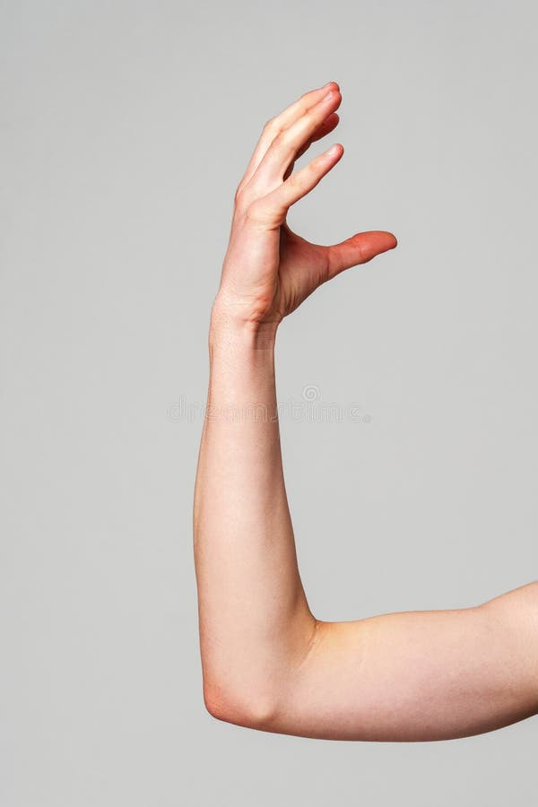 Elevated Bare Human Arm Bent at the Elbow Against a Neutral Background ...