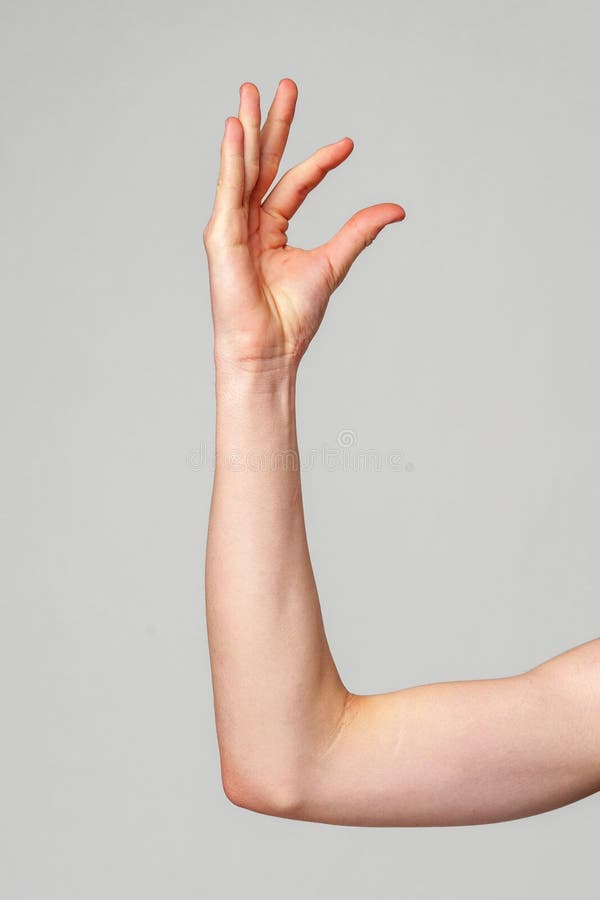 Elevated Bare Human Arm Bent at the Elbow Against a Neutral Background ...