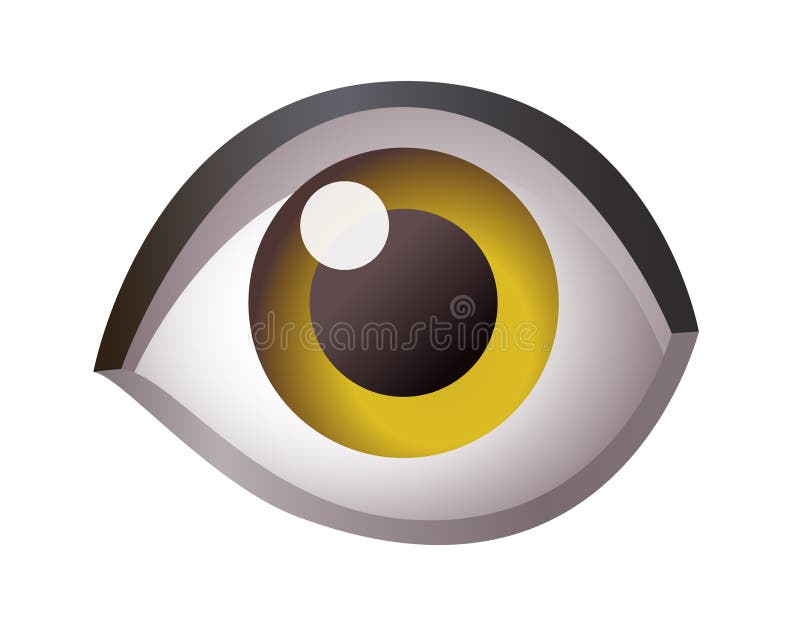 Single Human Eye, Looking Forward Icon Stock Illustration ...