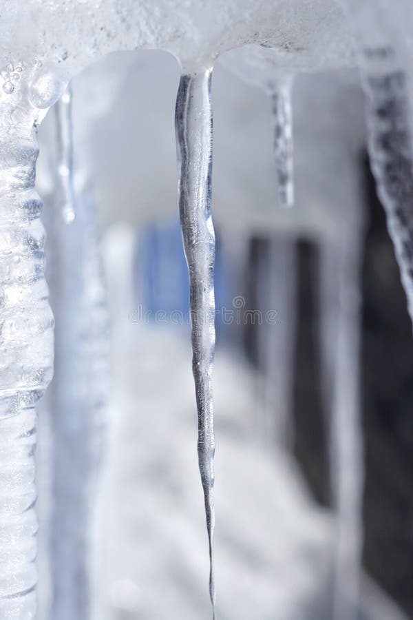 Single icicle stock photo. Image of fragile, icicle, freeze - 3113696