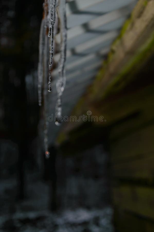 Single Icicle with Air Bubbles Inside Stock Photo - Image of frozen ...