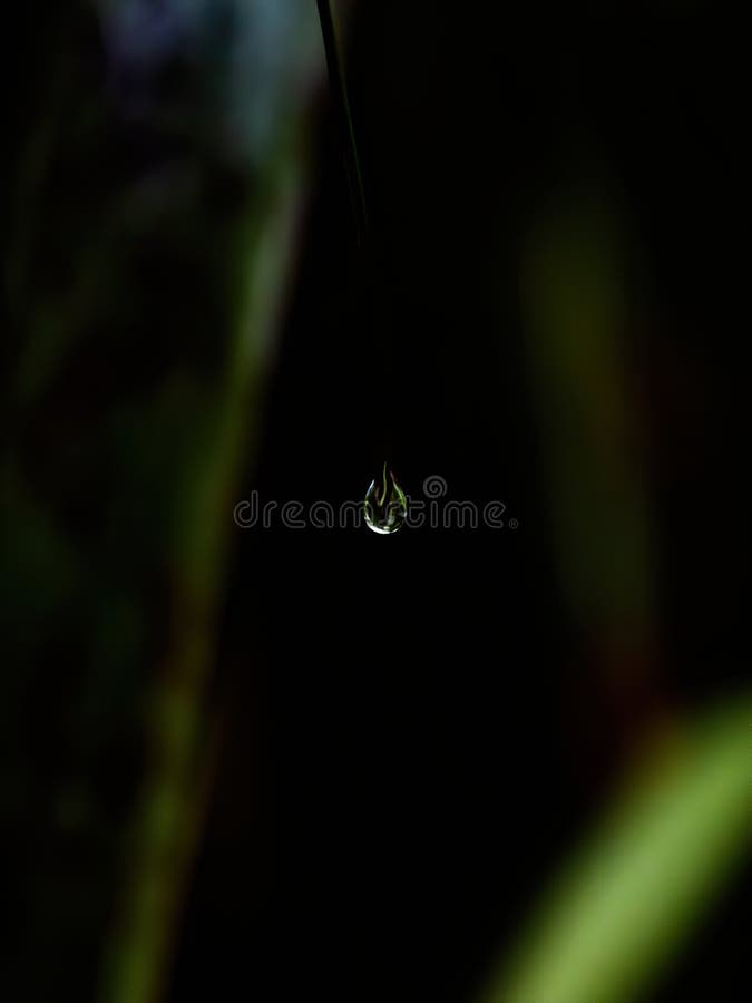 Single Isolated Clear Water Drop on Black Background Stock Photo ...