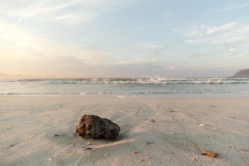 Single Beach Small Rock stock photo. Image of beautiful - 121958982