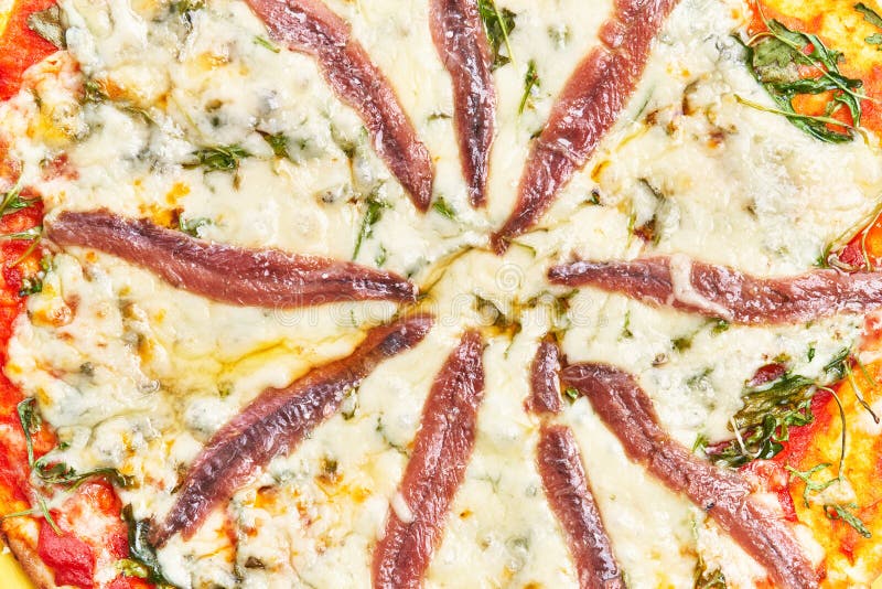 115 Single Anchovies Stock Photos - Free & Royalty-Free Stock Photos ...