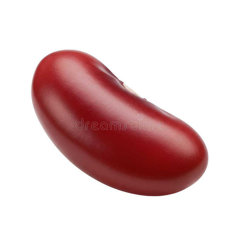 Isolated Close Up of a Single Red Kidney Bean on a Plain White ...