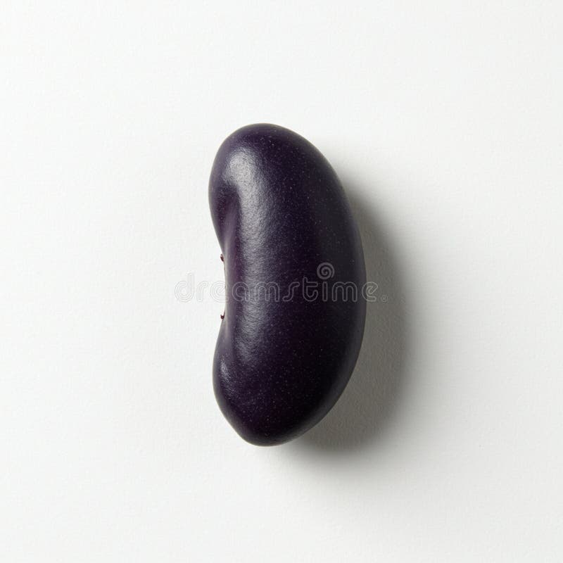 Pink Purple Bean Shape Stock Illustrations – 78 Pink Purple Bean Shape ...