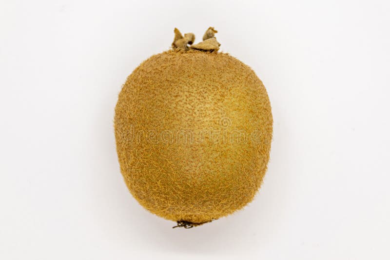 Single Kiwi Fruit stock image. Image of single, eating - 135078349