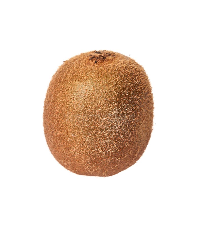 Single Kiwi and Slice Isolated on a White Background Stock Image ...