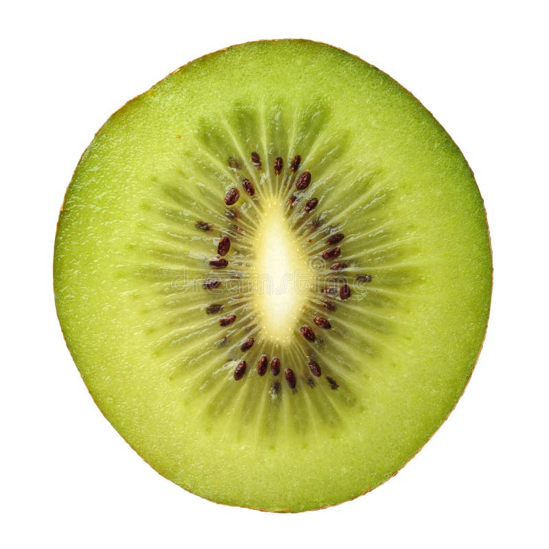 A single kiwi slice. stock image. Image of texture, fruits - 132909159