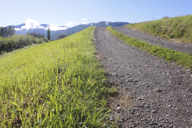 Single Lane Rural Road stock image. Image of grass, rural - 31242311