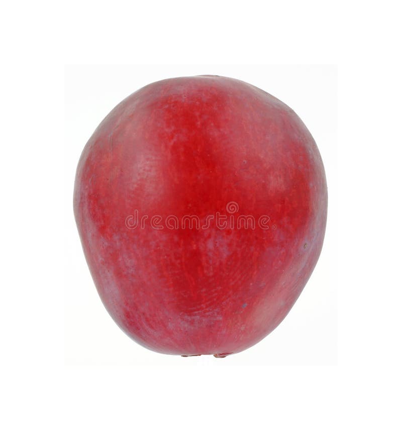 Single large grape stock image. Image of smooth, single - 11864013