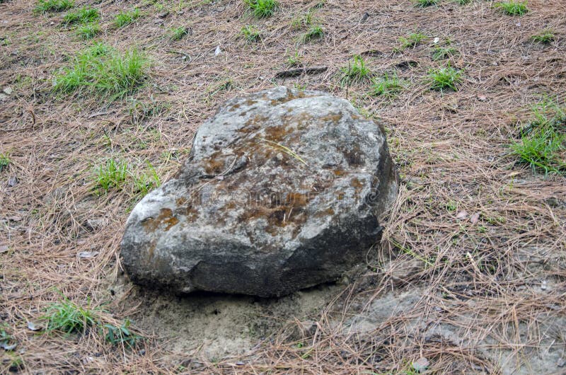 Single Large Stone in Forest of Himachal Pradesh India 105 Stock Image ...
