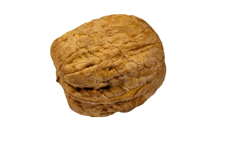 176 Giant Walnut Background Stock Photos - Free & Royalty-Free Stock ...