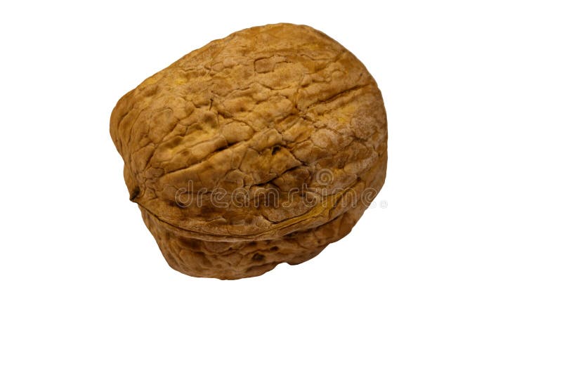 Two Large Walnut Trees with Partially Fallen Leaves Surrounded with ...