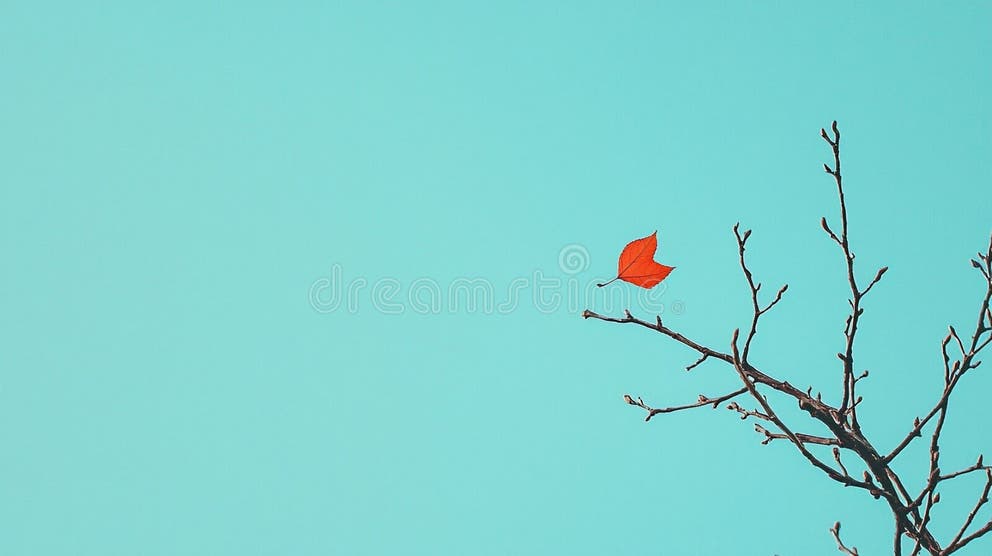 Single Leaf Falling from Branch Stock Illustration - Illustration of ...