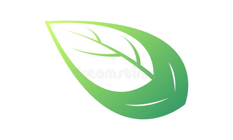 Single Leaf Icon Design Vector Stock Illustration - Illustration of ...