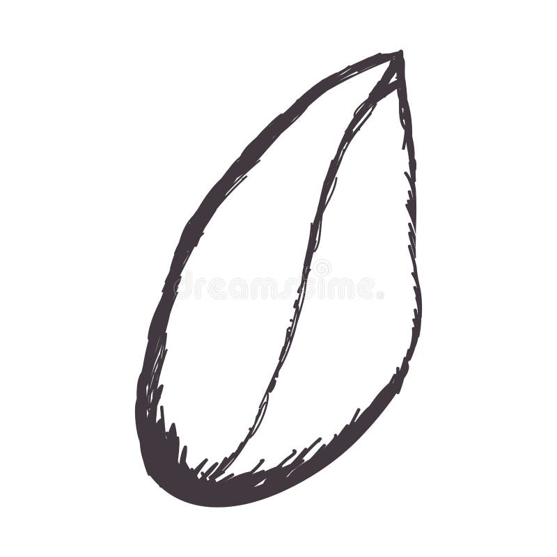 Single leaf icon image stock vector. Illustration of green - 79541050