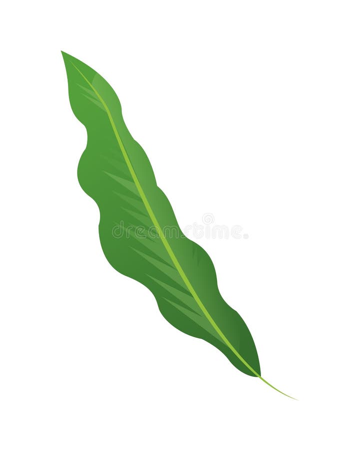 Single leaf icon stock illustration. Illustration of ecology - 74078566