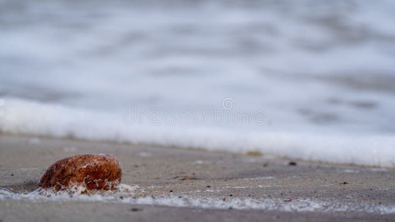 A Leaf Has Fallen on the Sand by the Beach Shore Stock Image - Image of ...