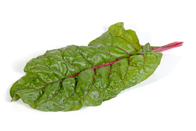 1,007 Single Leaf Spinach Photos - Free & Royalty-Free Stock Photos ...
