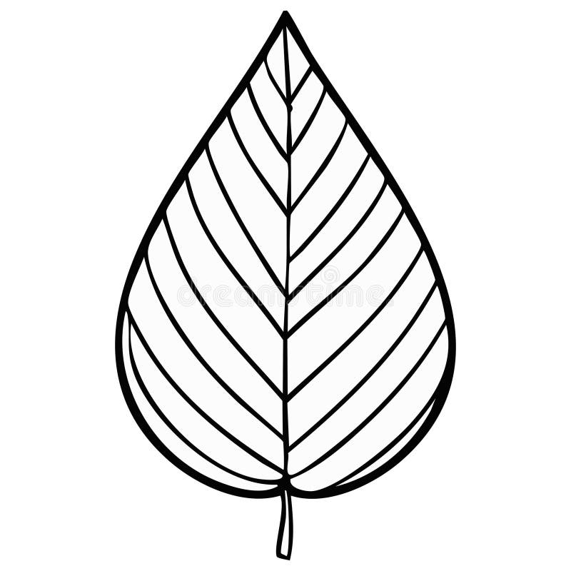 Single Leaf Vector Illustration with Veins Outline Style Black Line ...