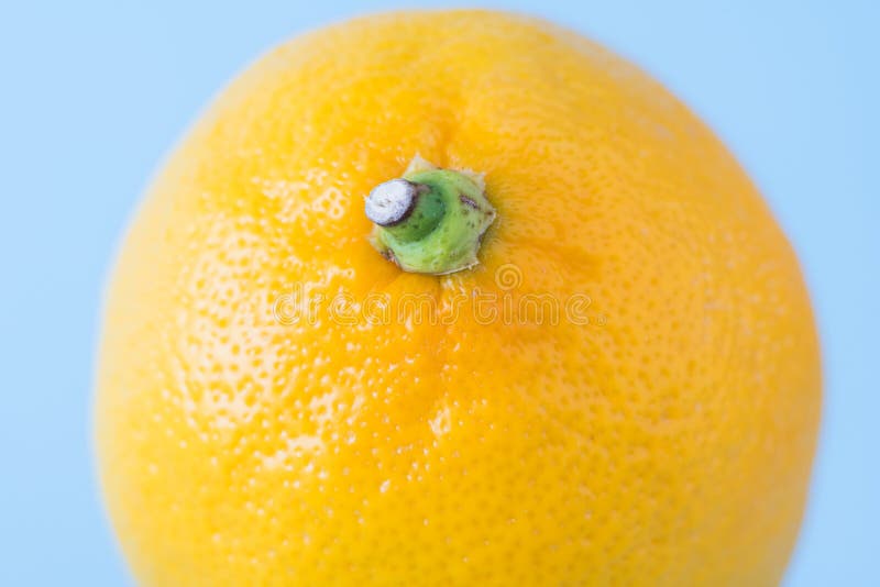 A single Lemon stock image. Image of aliment, cross, vegetables - 19856851