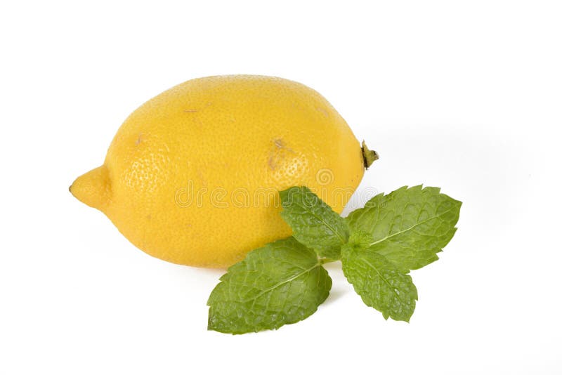 A Single Lemon Fruit with a Piece of Mint Stock Photo - Image of citrus ...