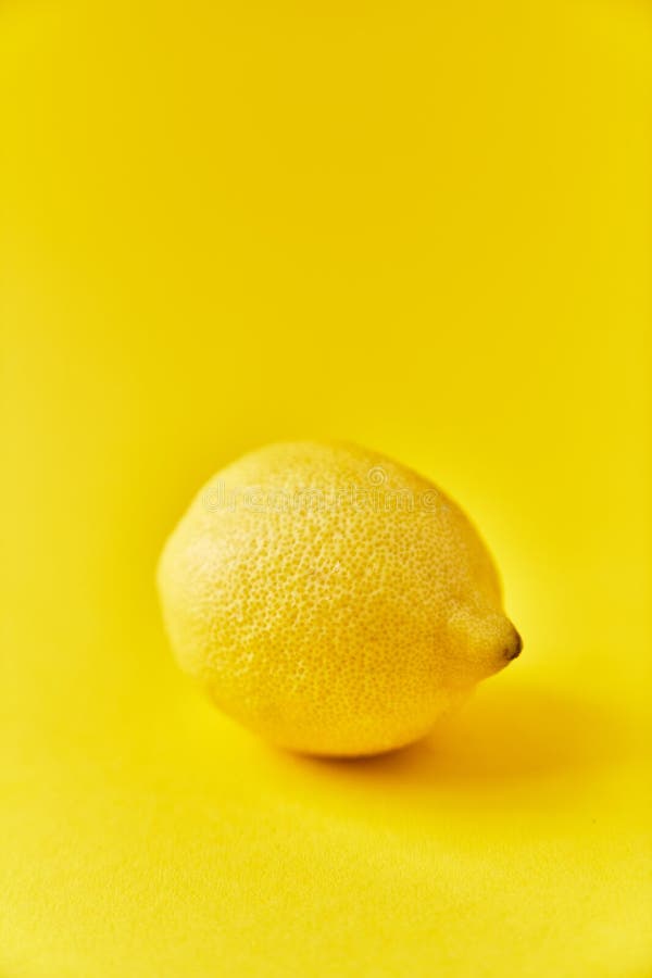 A single Lemon stock image. Image of aliment, cross, vegetables - 19856851