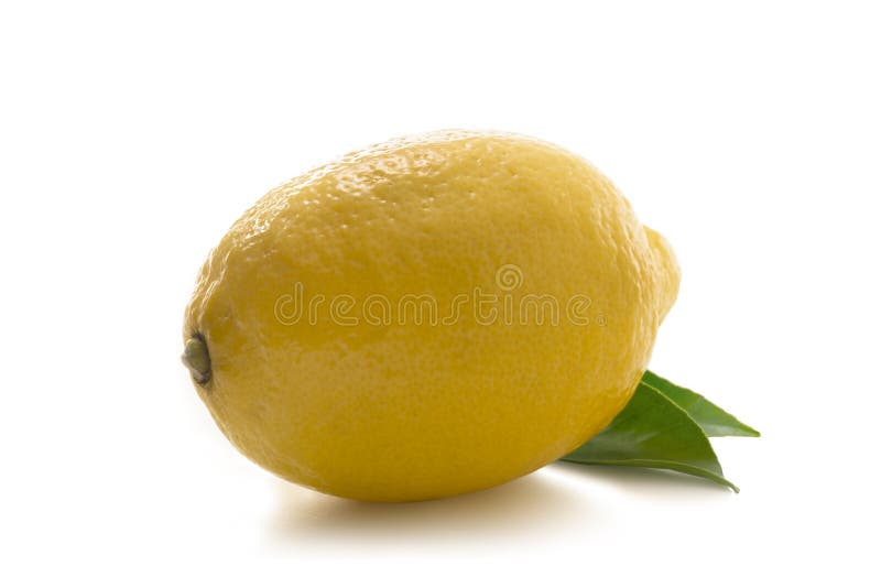 Single Lemon with Leaf Isolated Stock Image - Image of white, yellow ...