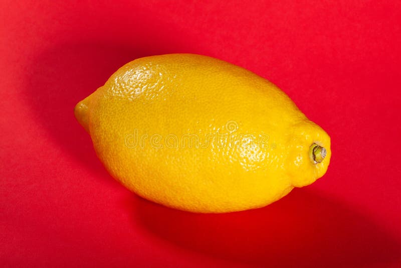 Single lemon on red stock photo. Image of background - 220421838