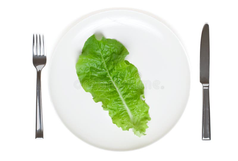 Single Lettuce Leaf on a Plate Stock Image - Image of loss, leaf: 5822335