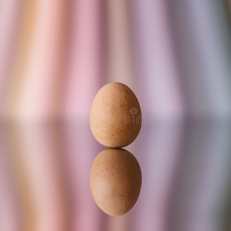 A Single Egg Stands Upright, Reflected on a Surface Against Pastel Hues ...