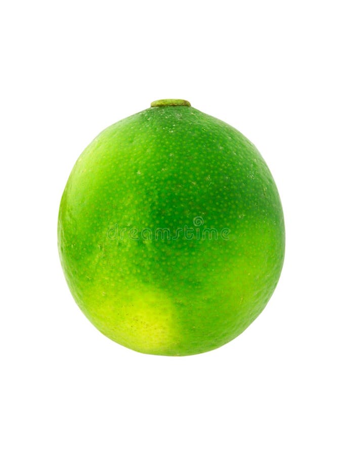 Lime stock image. Image of drinks, farmer, ripe, market - 214903