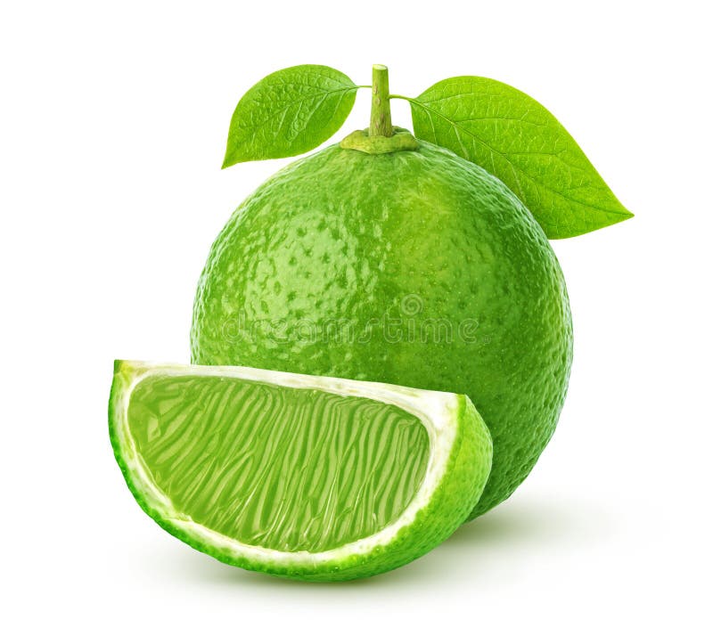 Single Lime Isolated on White Background Stock Photo - Image of chopped ...