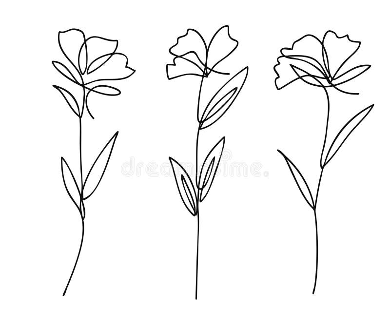 Single Line Flower Stock Illustrations – 25,857 Single Line Flower ...