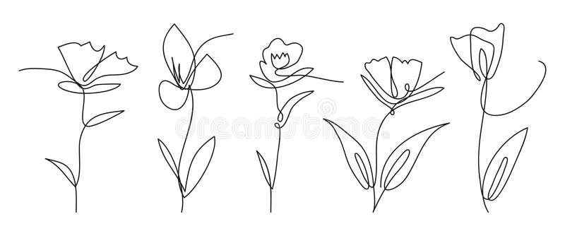 Single Line Art Vector Flower Illustration Collection Stock ...