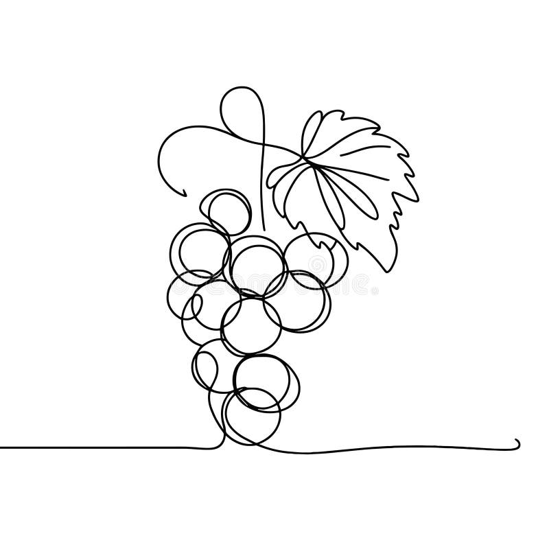 A Single Line Drawing of a Bunch of Grapes with a Leaf on Top Stock ...