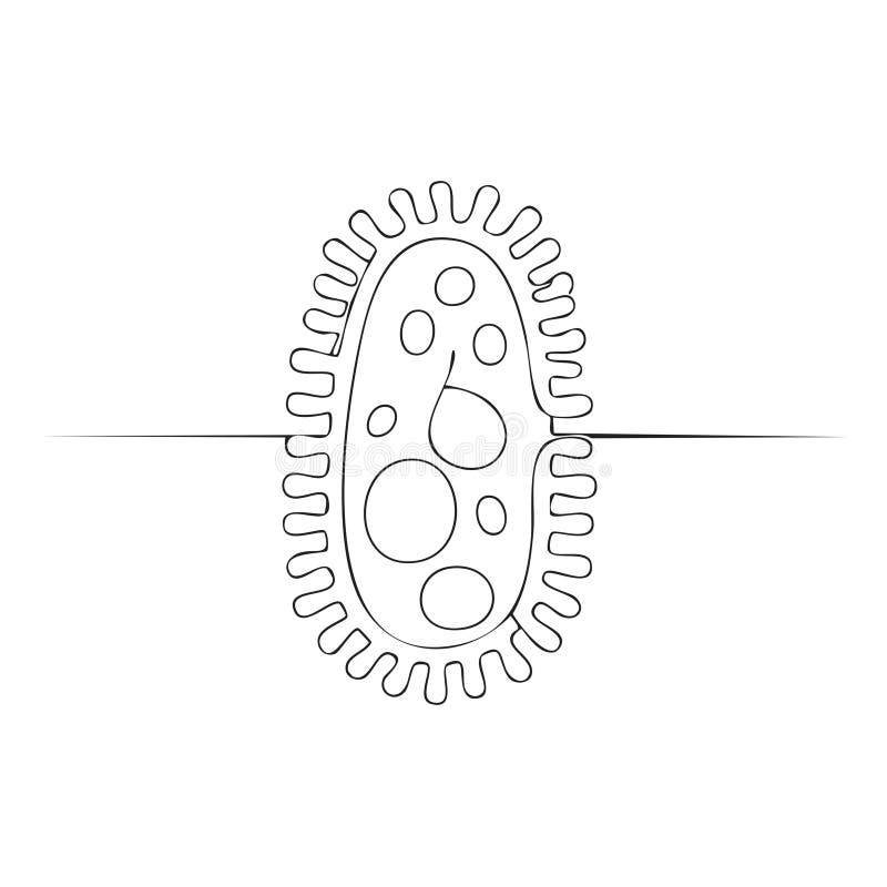 Single Line Drawing of a Single Cell Organism with Internal Structures ...