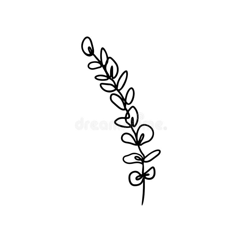 Single Line Drawing of Eucalyptus Branch on White Stock Vector ...