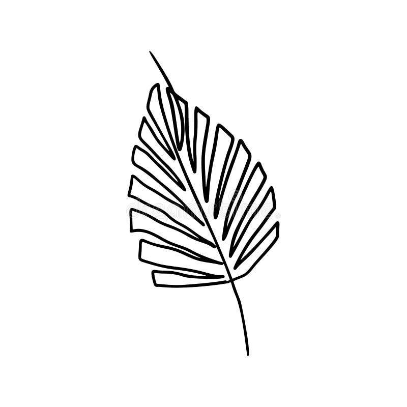 Single Line Drawing of Palm Leaf on White Stock Vector - Illustration ...