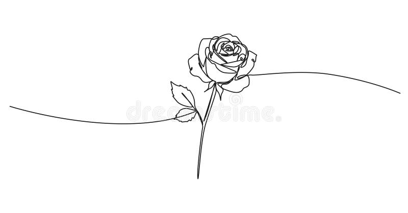 Single Line Drawing of a Rose Stock Vector - Illustration of sketch ...