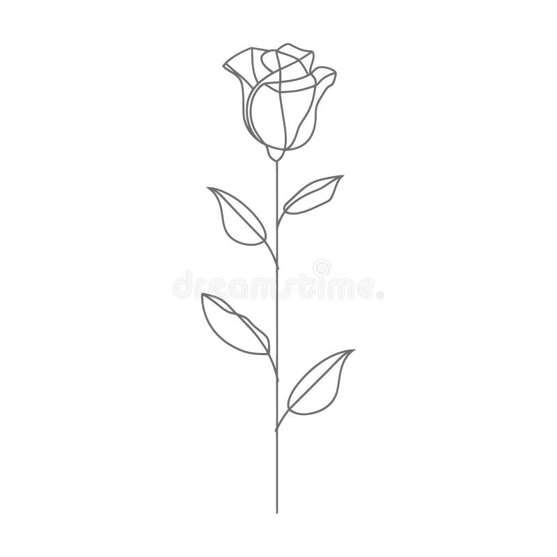 Single Line Drawing of a Rose with Stem and Leaves Stock Illustration ...