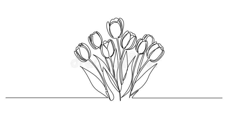 Single Line Drawing of Tulips Stock Illustration - Illustration of ...