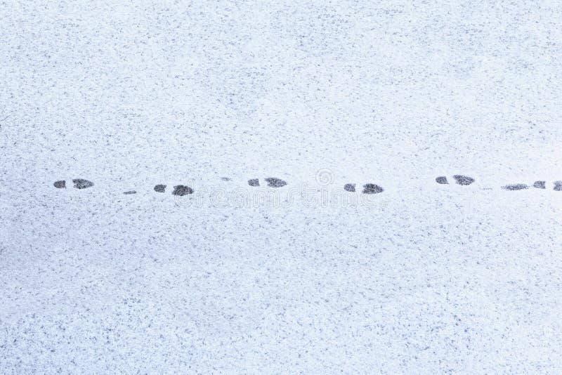 Footsteps in Fresh Wet Snow Stock Photo - Image of asphalt, seasonal ...