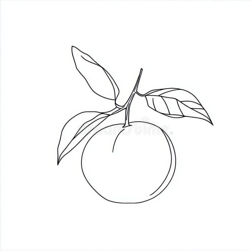 This is a Single Line Illustration of an Orange. One Line Fruit ...