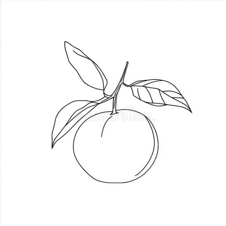 This is a Single Line Illustration of an Orange. One Line Fruit ...