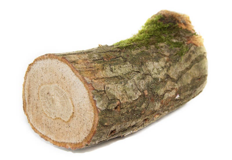 A Single log stock photo. Image of nature, rough, piece - 17585582