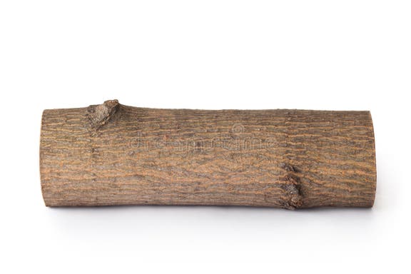 Single log stock photo. Image of single, lumber, bark - 28523244
