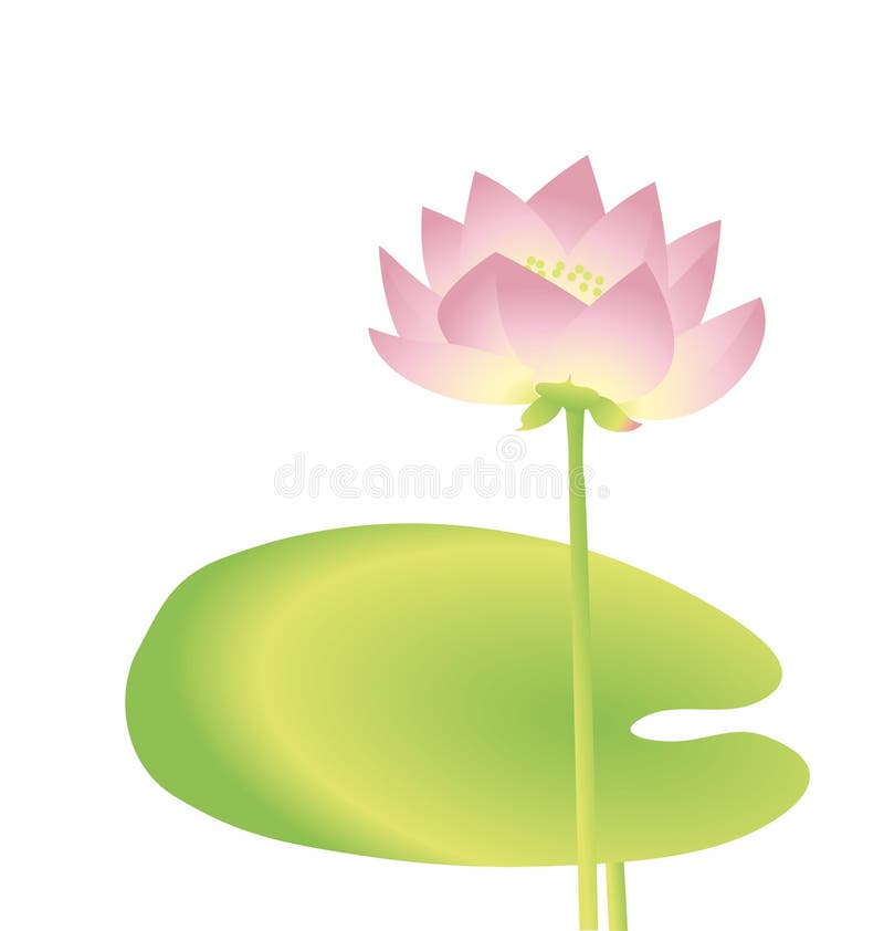 Single Lotus Decorative Floral Element. Stock Vector - Illustration of ...